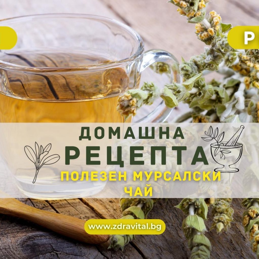 Рецепта за полезен мурсалски чай – Zdravital.bg